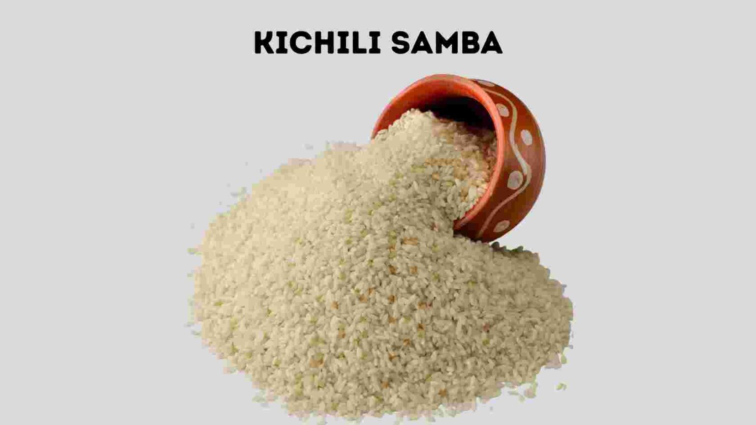 Kichili Samba: Fermentation-Friendly Rice of Tamil Nadu | Pasumaikudil